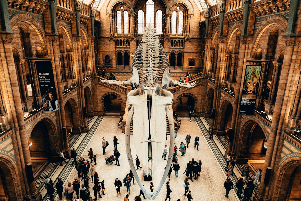 Museum London